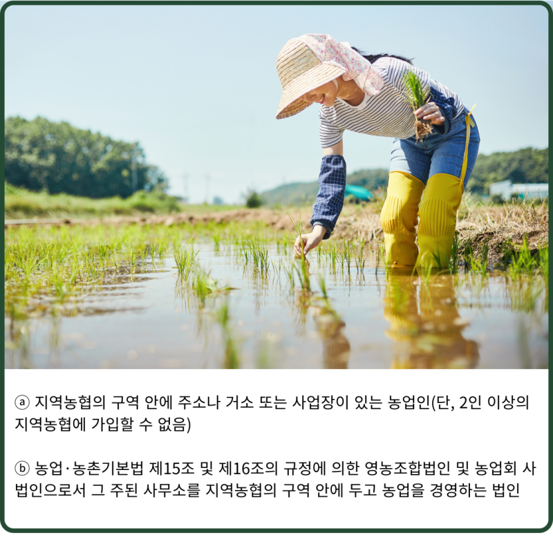 농협조합원 자격은 이런겁니다 가입조건 혜택 출자금 네이버 블로그