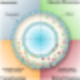 '에토좀 PTT'가 뭐야?(Ethosome,3세대 골드PTT,플래티넘PTT,차이점,시술방법,시술주기,효과,원리,여드름,피지조절 ...