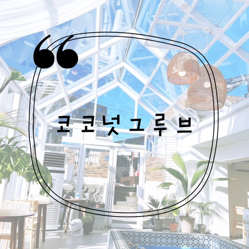 속초카페 코코넛그루브 포토존 가득 청량한 휴양지느낌카페 네이버 블로그