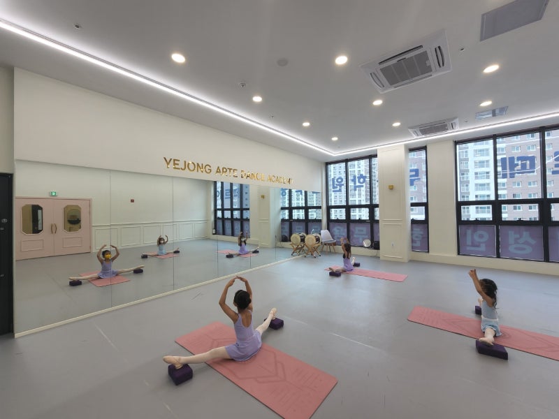 바가노바 메소드를 활용한 초등발레 class : 네이버 블로그