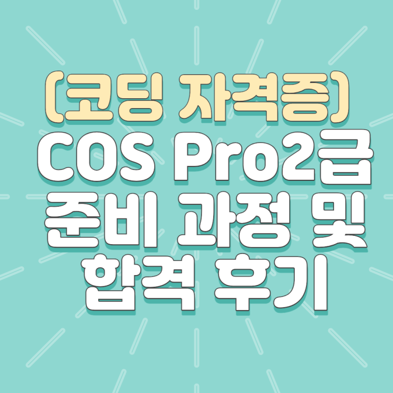 [코딩 자격증]COS Pro 2급 파이썬 벼락치기 방법 및 합격 후기 : 네이버 블로그