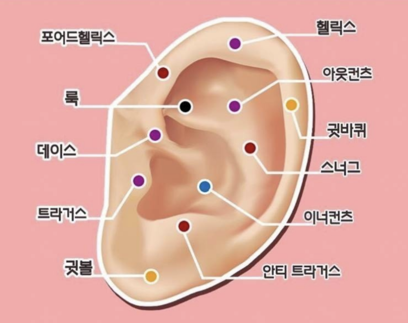 귀 피어싱 위치 정리 And 예쁜 부위 꿀 조합 F 고통 단점 네이버 블로그