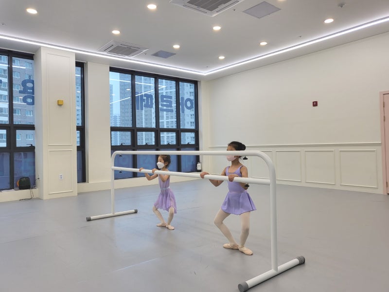 바가노바 메소드를 활용한 초등발레 class : 네이버 블로그