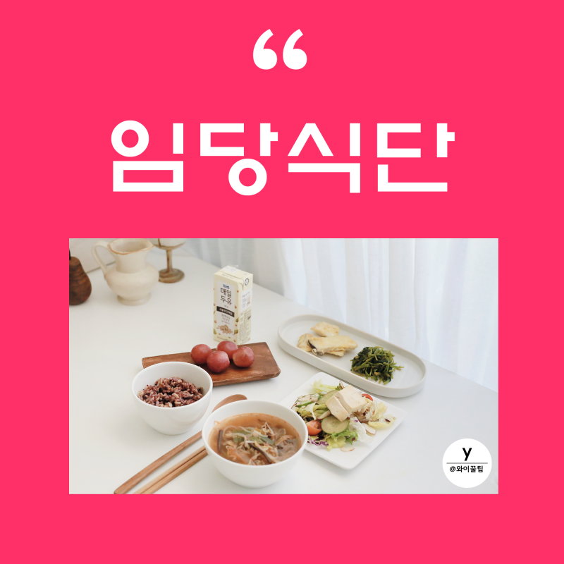 임산부 임당 식단 임신성 당뇨 검사 재검 통과 확정 수치 간식 산모 식단표 짜는법 닥다몰 닥터다이어리 당뇨클래스 네이버 블로그