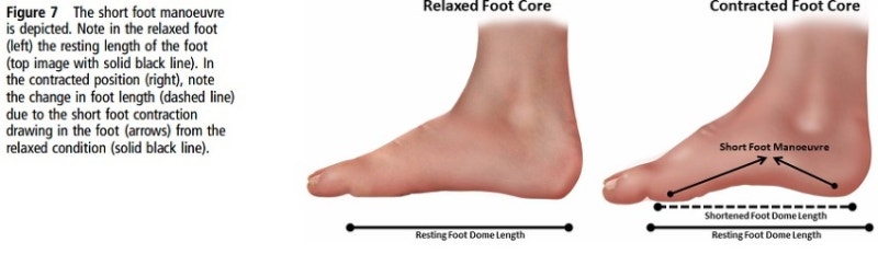 Short foot exercise : 네이버 블로그