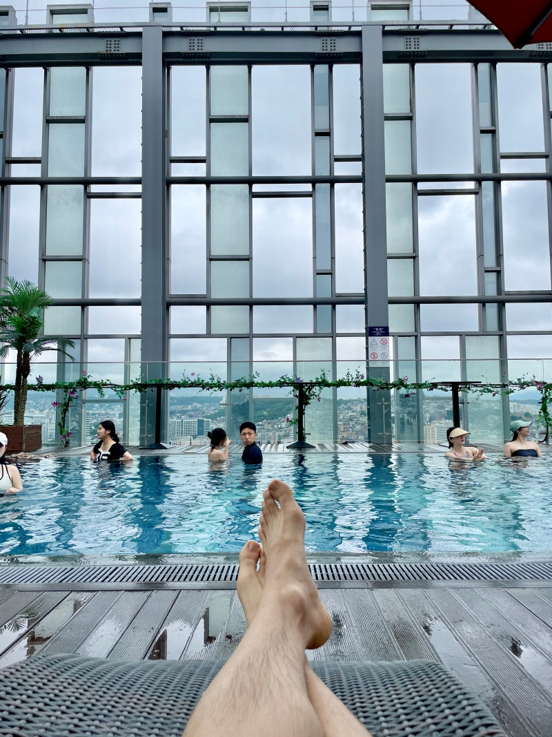 동대문 노보텔 앰버서더 서울 수영장 호텔 호캉스 네이버 블로그