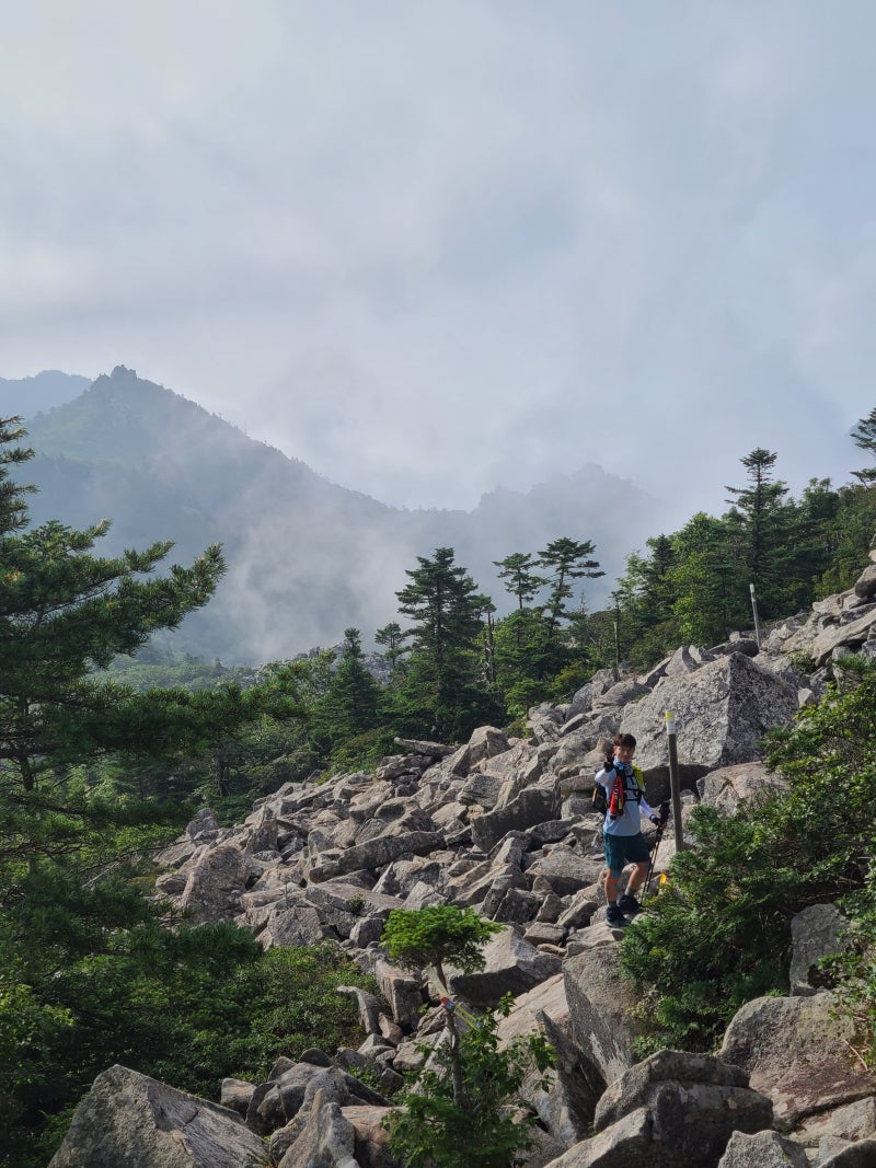 설악산 대종주 남교리 서북능선 대청봉 공룡능선 소공원 무박당일 산행기 네이버 블로그