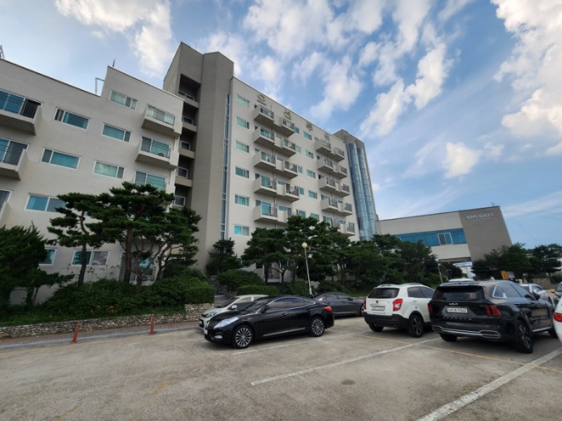 강원도 속초 고성 애견동반 숙소 오션투유리조트 강아지랑 여행 조식룸서비스 2박 네이버 블로그