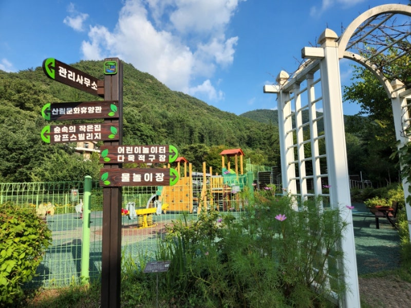 충북알프스자연휴양림 물놀이장 추천 수영장 있는 자연휴양림 휴양관 숙박 후기 네이버 블로그