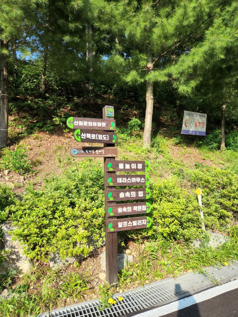 충북알프스자연휴양림 물놀이장 추천 수영장 있는 자연휴양림 휴양관 숙박 후기 네이버 블로그