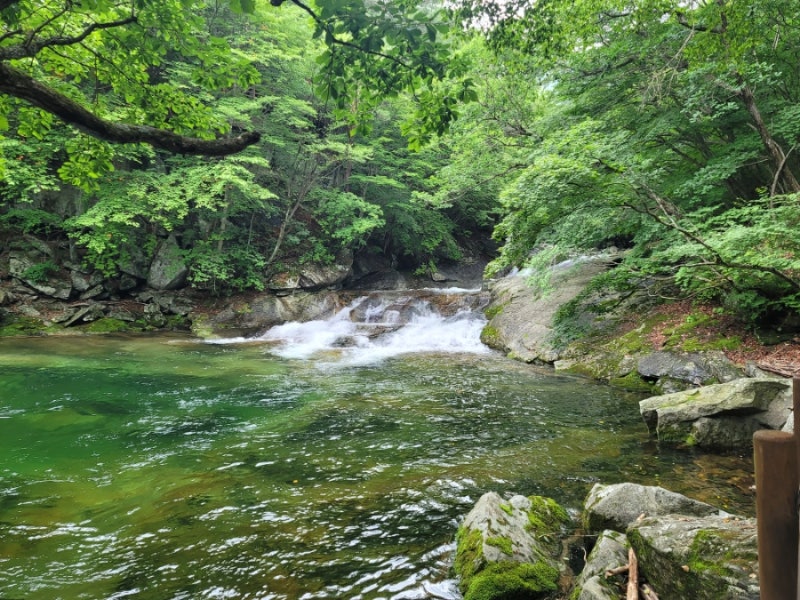 무주 구천동 어사길 숲 트레킹 힐링하기 네이버 블로그