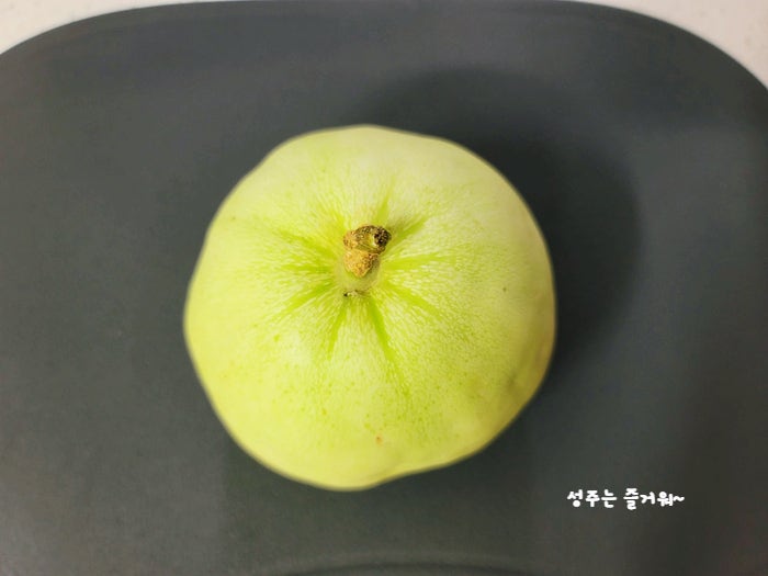 참외 키우기 사과참외 모종심고 수확하기 참외 재배 기르기 순지르기 순치기 네이버 블로그