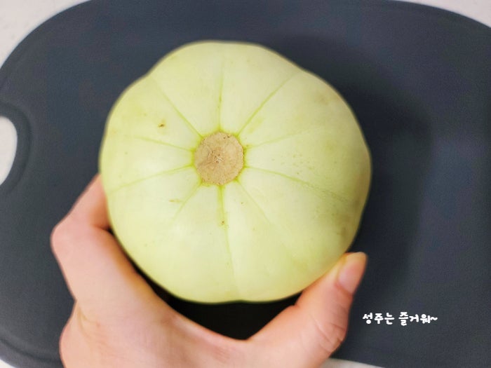 참외 키우기 사과참외 모종심고 수확하기 참외 재배 기르기 순지르기 순치기 네이버 블로그