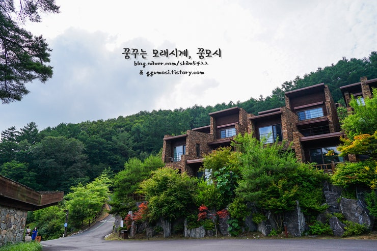 제천 여행제천 리솜 포레스트 산책하기포레스트클럽교촌치킨 포레스트리솜점and솔티 크래프트 비어andcu편의점밤산책 네이버 블로그