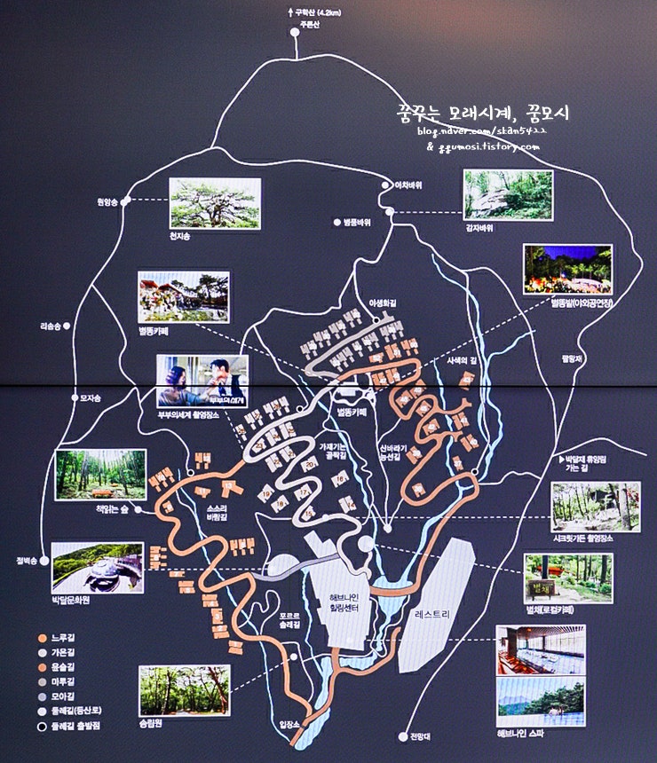 제천 여행제천 리솜 포레스트 산책하기포레스트클럽교촌치킨 포레스트리솜점and솔티 크래프트 비어andcu편의점밤산책 네이버 블로그