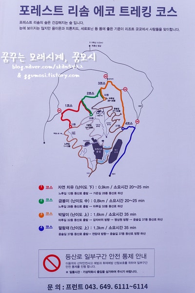 제천 여행제천 리솜 포레스트 산책하기포레스트클럽교촌치킨 포레스트리솜점and솔티 크래프트 비어andcu편의점밤산책 네이버 블로그