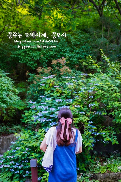 제천 여행제천 리솜 포레스트 산책하기포레스트클럽교촌치킨 포레스트리솜점and솔티 크래프트 비어andcu편의점밤산책 네이버 블로그