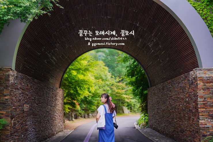 제천 여행제천 리솜 포레스트 산책하기포레스트클럽교촌치킨 포레스트리솜점and솔티 크래프트 비어andcu편의점밤산책 네이버 블로그