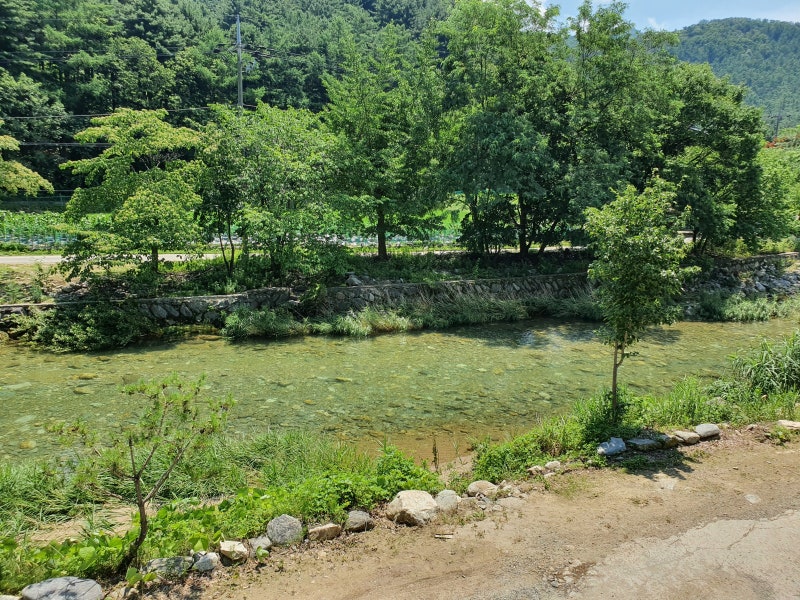 경기도 가평 아이들 놀기 좋은 계곡 품은 블루래빗 캠핑장 추천~ 사이트정보 공유 Feat 편세권 캠핑장 Cu 와