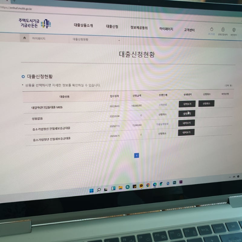 내집마련디딤돌대출 기금e든든 사전자산심사 부적격 이의신청 부제 빡침의 한달 네이버 블로그