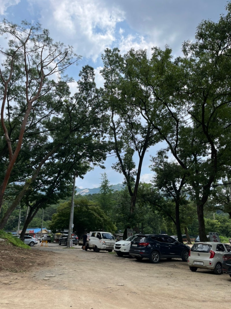 [삼천리골 돼지집] 은평 북한산 계곡 백숙 맛집 솔직 후기 : 네이버 블로그