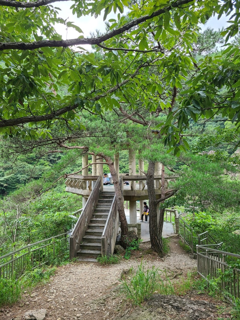 담양 가볼만한 곳 담양 가마골 생태공원주차지점~용소~출렁다리~원점 산책 네이버 블로그