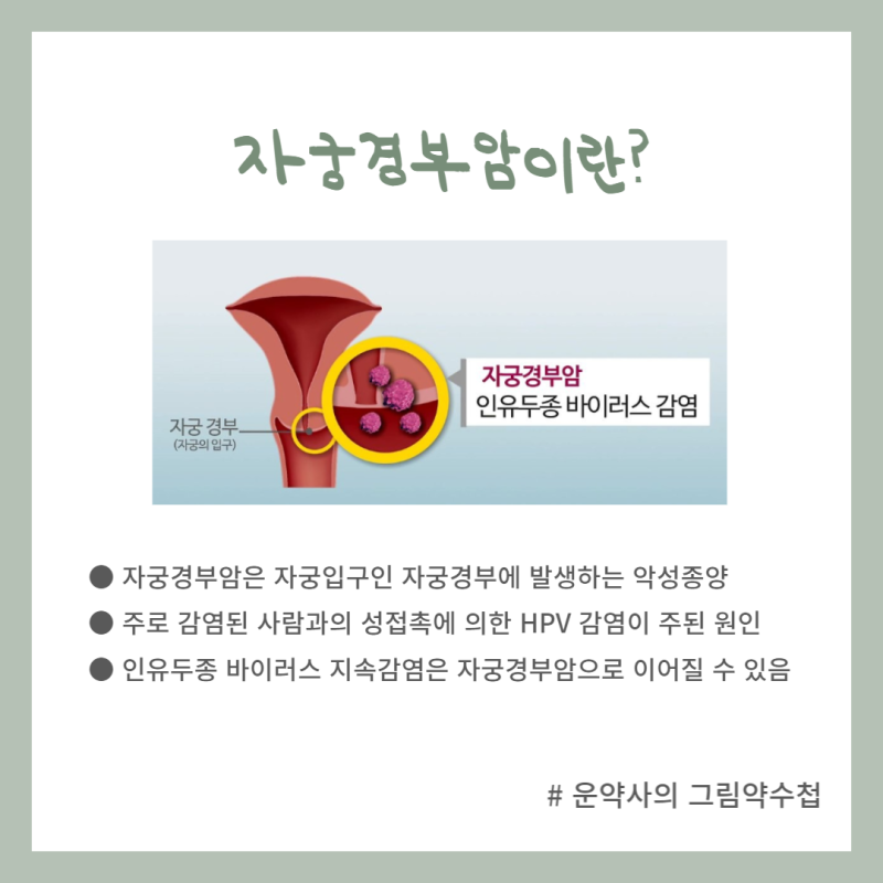 자궁경부암 예방접종 주사 가다실 9가 접종나이 접종기간 가격 남자도 접종 네이버 블로그