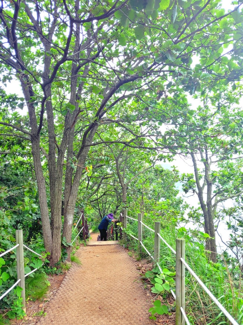 대부도 해솔길 1코스 트레킹 낙조전망대까지 3km 네이버 블로그
