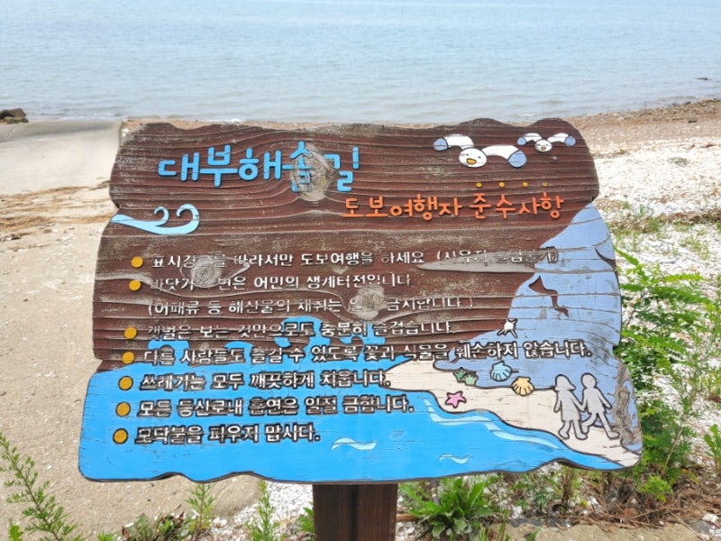대부도 해솔길 1코스 트레킹 낙조전망대까지 3km 네이버 블로그