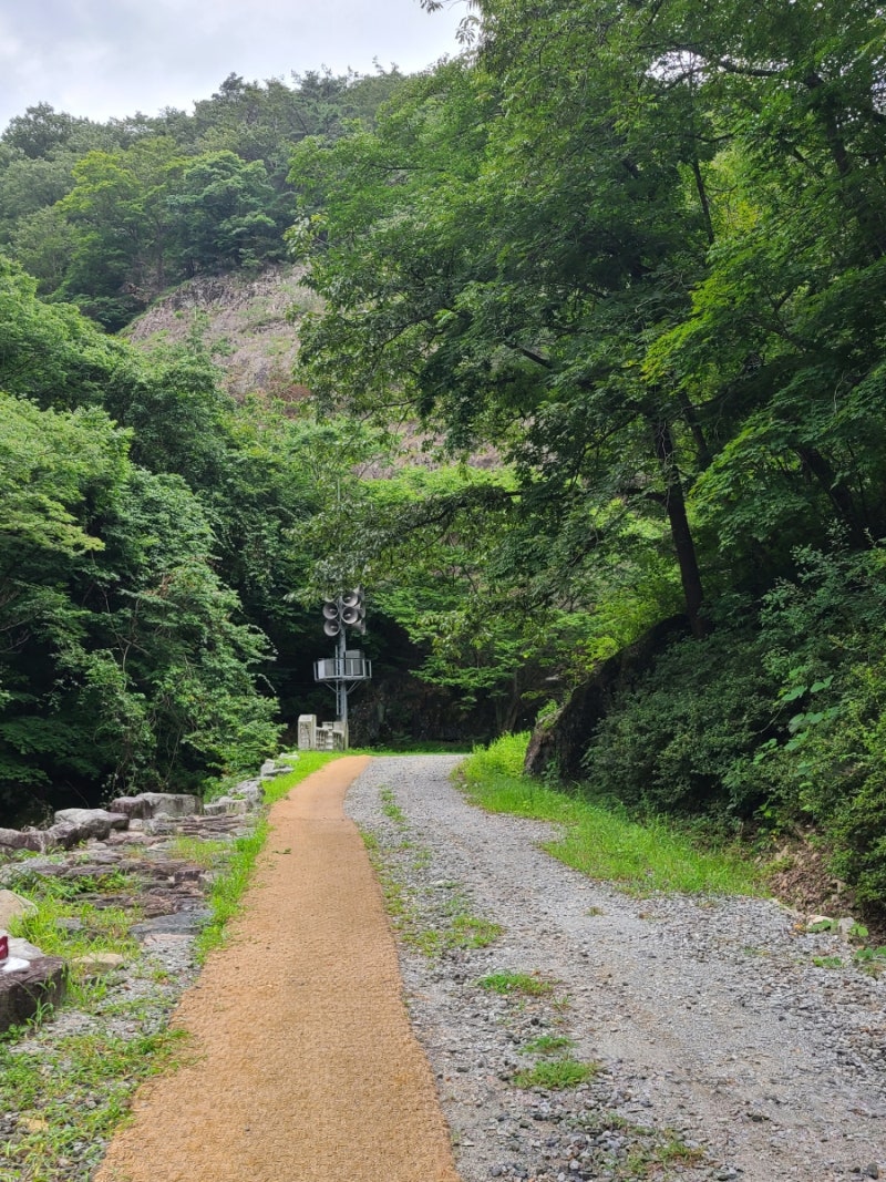 담양 가볼만한 곳 담양 가마골 생태공원주차지점~용소~출렁다리~원점 산책 네이버 블로그