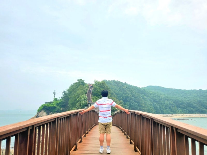 대부도 해솔길 1코스 트레킹 낙조전망대까지 3km 네이버 블로그