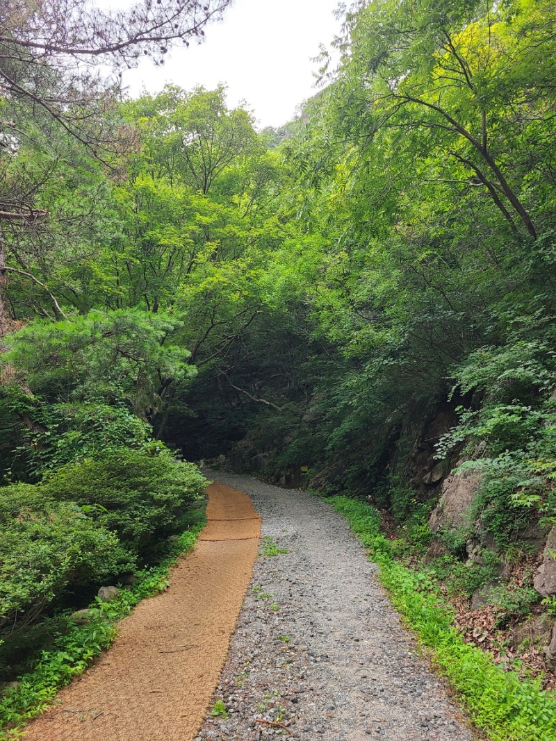 담양 가볼만한 곳 담양 가마골 생태공원주차지점~용소~출렁다리~원점 산책 네이버 블로그
