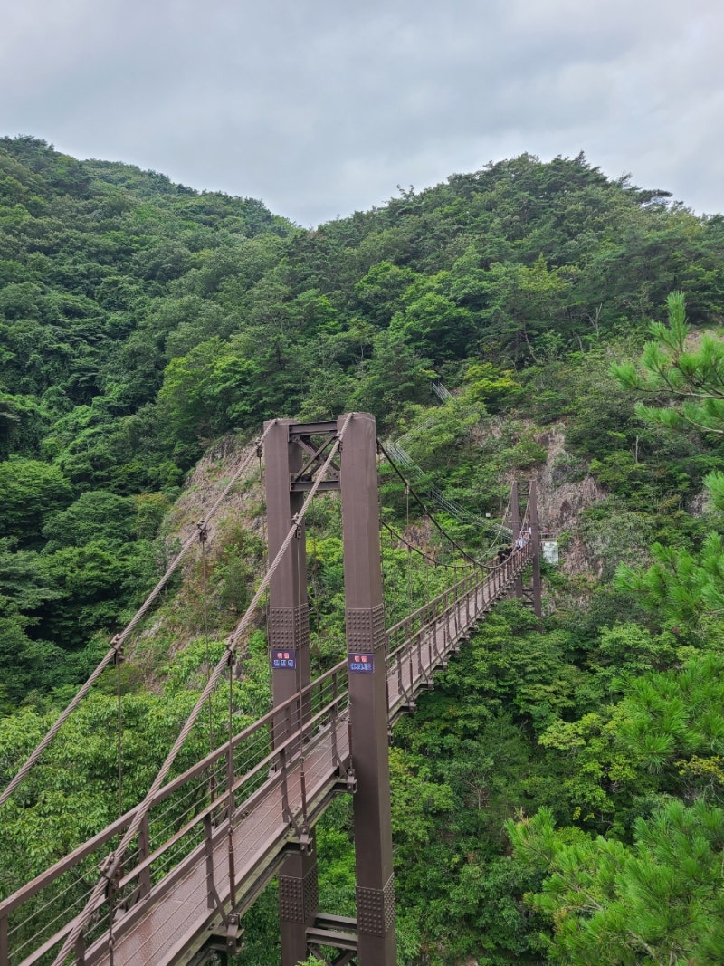 담양 가볼만한 곳 담양 가마골 생태공원주차지점~용소~출렁다리~원점 산책 네이버 블로그