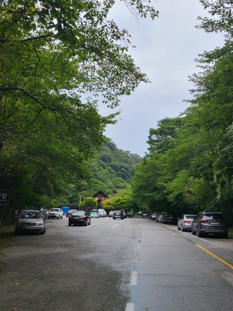 담양 가볼만한 곳 담양 가마골 생태공원주차지점~용소~출렁다리~원점 산책 네이버 블로그
