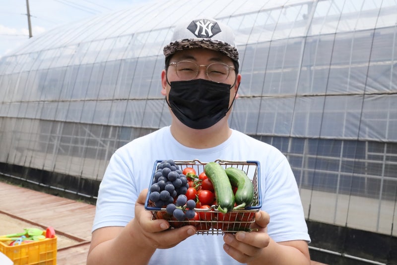 밀양 초동면 체험농장 아이랑 가볼 만한 곳 농부아빠팜 토마토 따기 체험 추천 네이버 블로그
