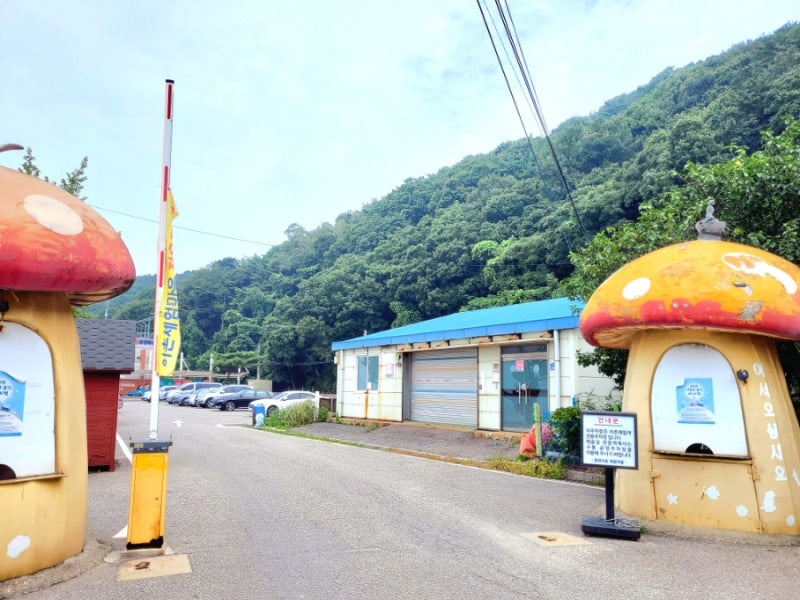 대부도 해솔길 1코스 트레킹 낙조전망대까지 3km 네이버 블로그