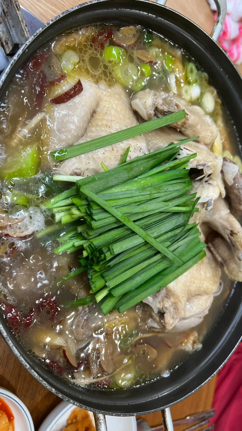 성남 맛집 복정 맛집 남한산성 맛집 39년 전통의 ‘능이 한방 백숙 무더운 여름 보양식 ‘등나무집 강력 추천 드립니다