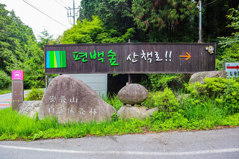 무등산 편백자연휴양림 힐링 산책하기 좋은 화순 가볼만한곳 네이버 블로그