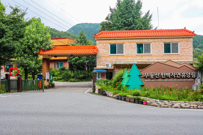무등산 편백자연휴양림 힐링 산책하기 좋은 화순 가볼만한곳 네이버 블로그