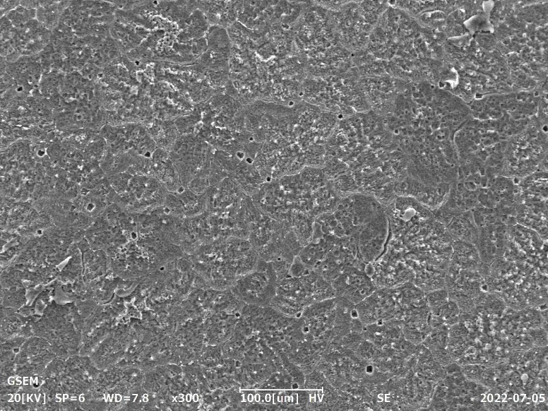 SEM 가속전압에 따른 이미지 변화 : 네이버 블로그