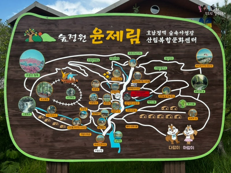 보성여행 숲정원 윤제림 수국 성림원 보성 가볼만한곳 수국길 편백숲 사진명소 네이버 블로그