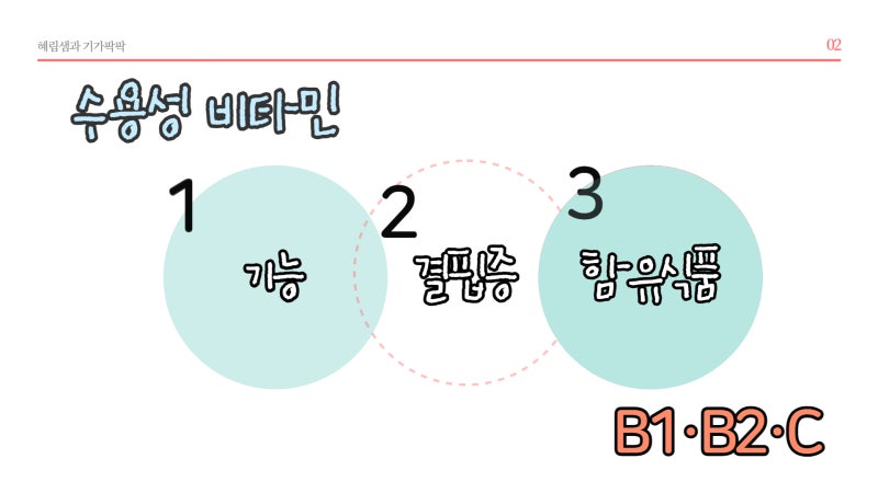 기술가정 수업기록 청소년의 영양과 건강 무비물무기질비타민물 1학기 최종 복습젠가 네이버 블로그