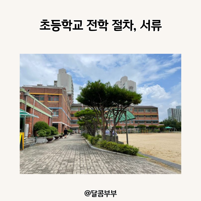 초등학교 전학 절차 서류 알고 가세요 네이버 블로그