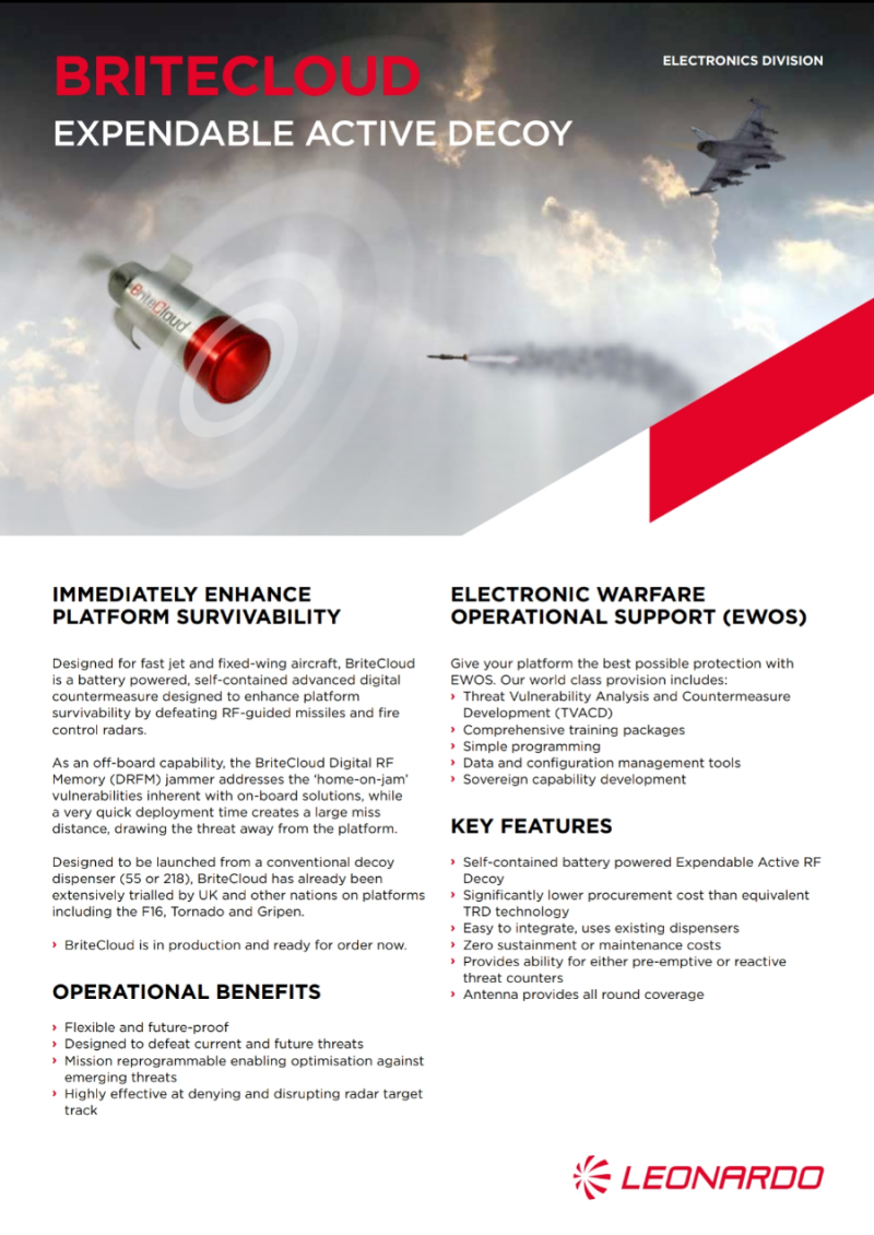 BriteCloud 디코이 : 네이버 블로그