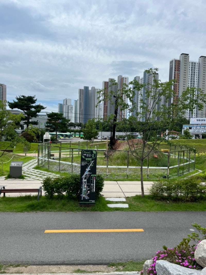 포항 여행 산책하기 좋은곳 불의정원 철길숲 네이버 블로그