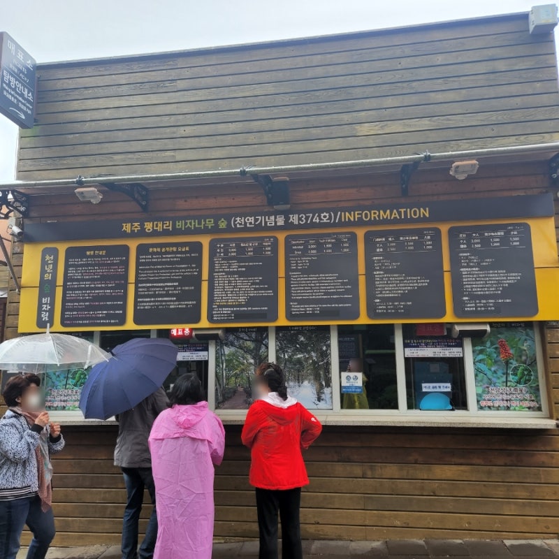 제주도 비오는날 갈만한곳 천년의 숲 제주 비자림 입장료 주차 네이버 블로그