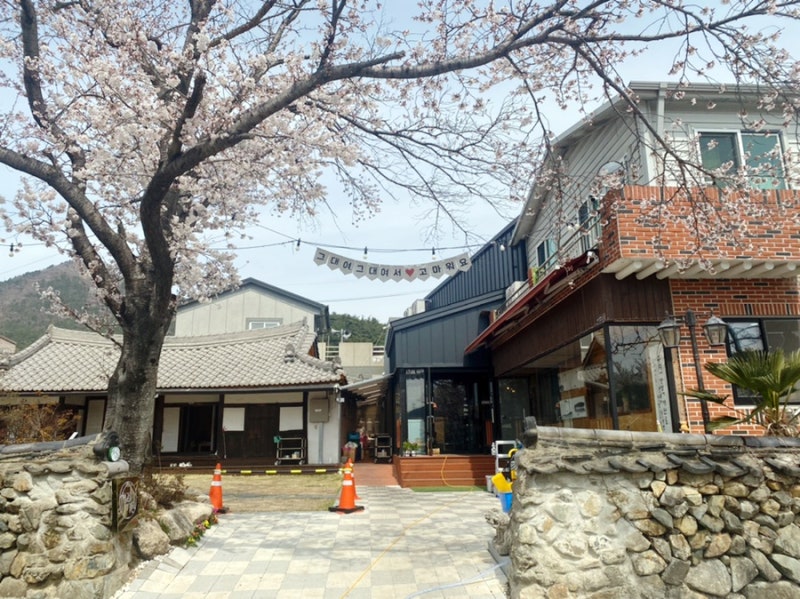 부산 기장 맛집 철마 형제가든 독채 방갈로 한우 숯불구이 맛집 애견동반 가능 맛집 마당 뷰가 예쁜 고기집