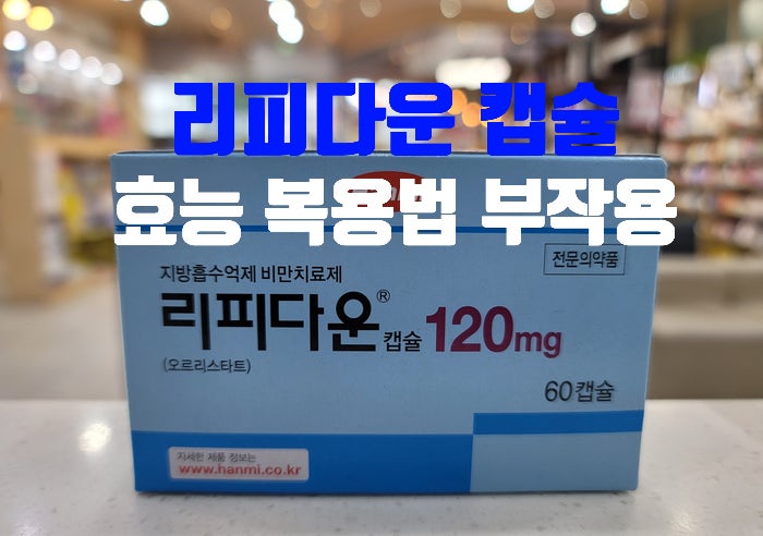리피다운캡슐 비만치료제 효능 효과 복용법 부작용 네이버 블로그