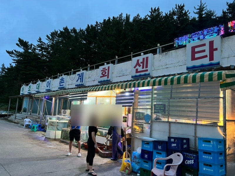 양양 하조대어촌계회센터 양양 야외 횟집 양양 횟집 양양 맛집 하조대 해수욕장 맛집 번외편 서피비치 하조대
