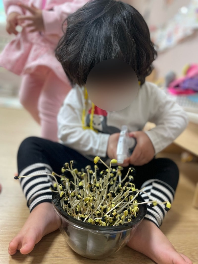 만 1세 오감놀이콩놀이콩나물놀이두부놀이 네이버 블로그